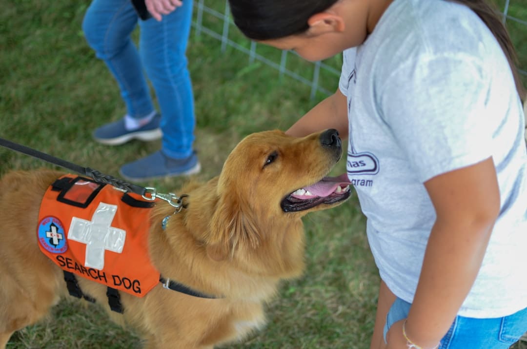 Service Dog Travel Planning: Road Trip Tips